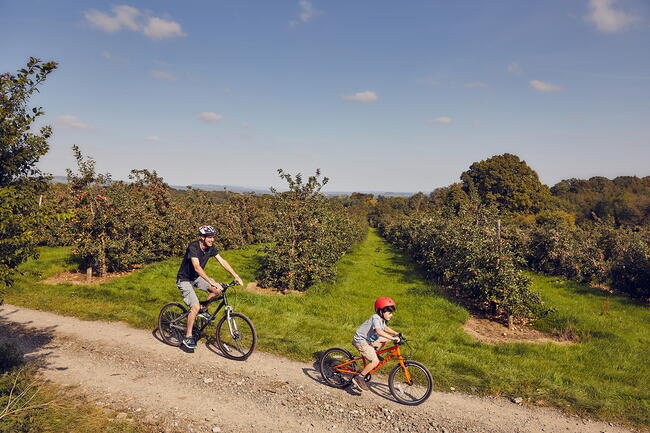 7 Ideas for Family Staycations in Herefordshire | Visit Herefordshire