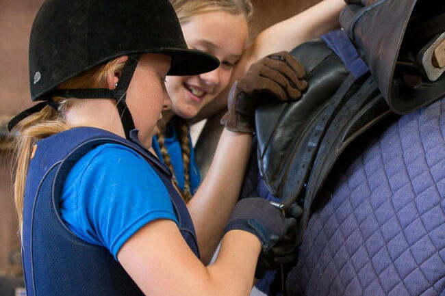 Wild Activities: Older Kids | Visit Herefordshire