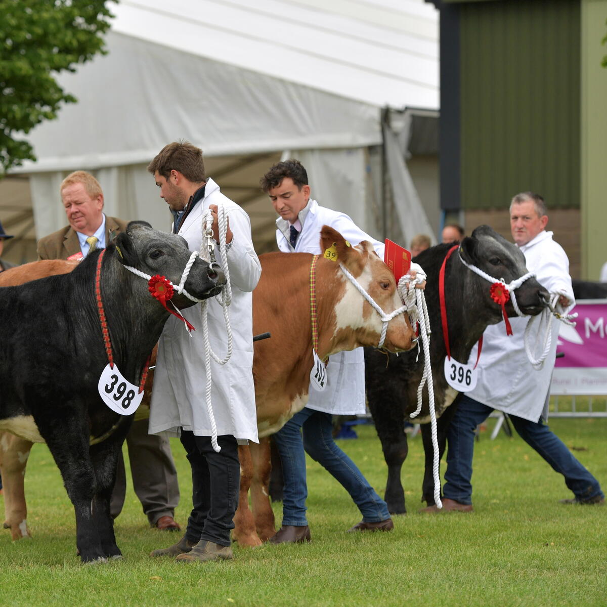 Royal Three Counties Show - Three Counties Showground | Visit Herefordshire