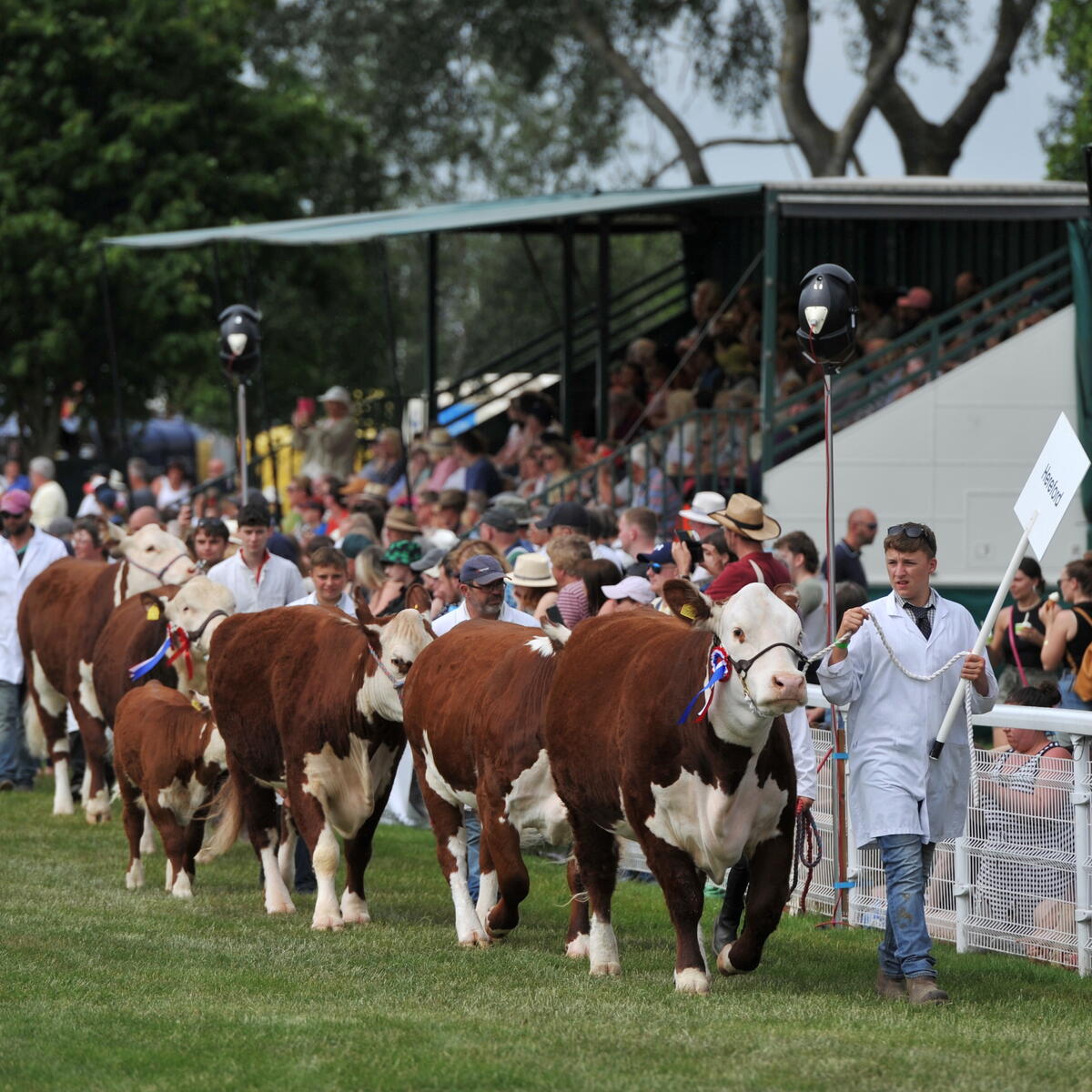 Royal Three Counties Show - Three Counties Showground | Visit Herefordshire