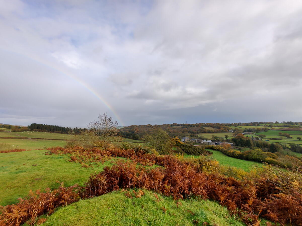 Endless Views from Hergest Ridge | Visit Herefordshire
