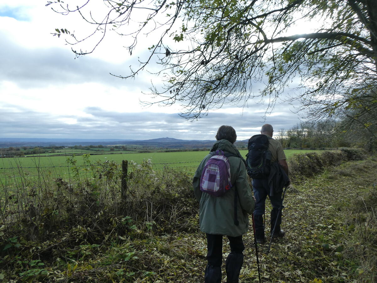 Marcle Ridge and Woolhope Dome | Visit Herefordshire