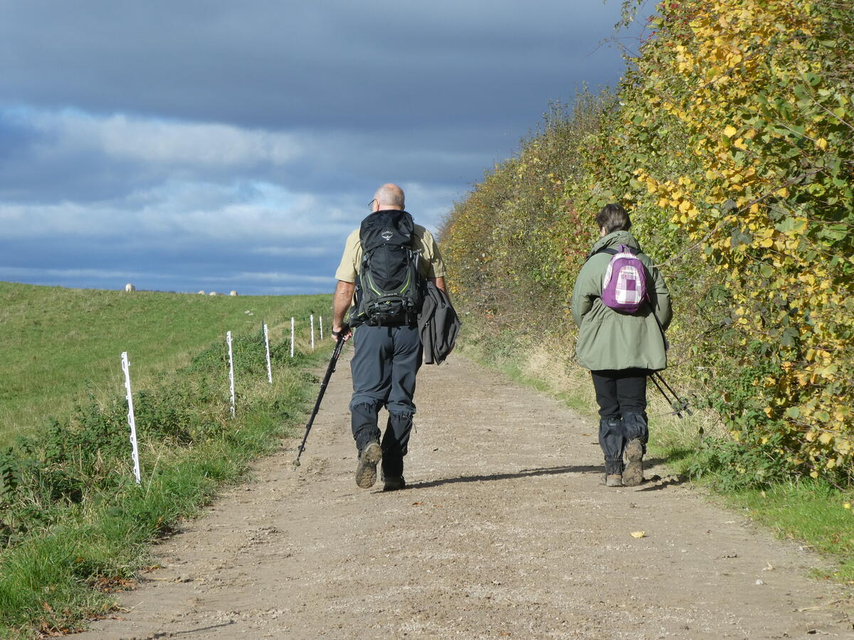 Marcle Ridge and Woolhope Dome | Visit Herefordshire