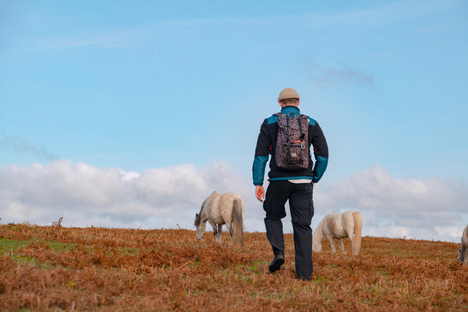 Garway with the Ponies | Visit Herefordshire