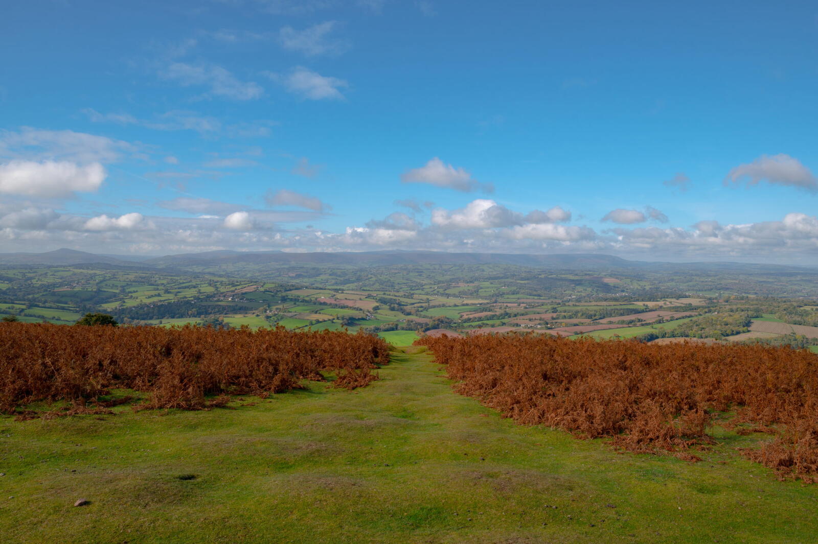 Garway with the Ponies | Visit Herefordshire