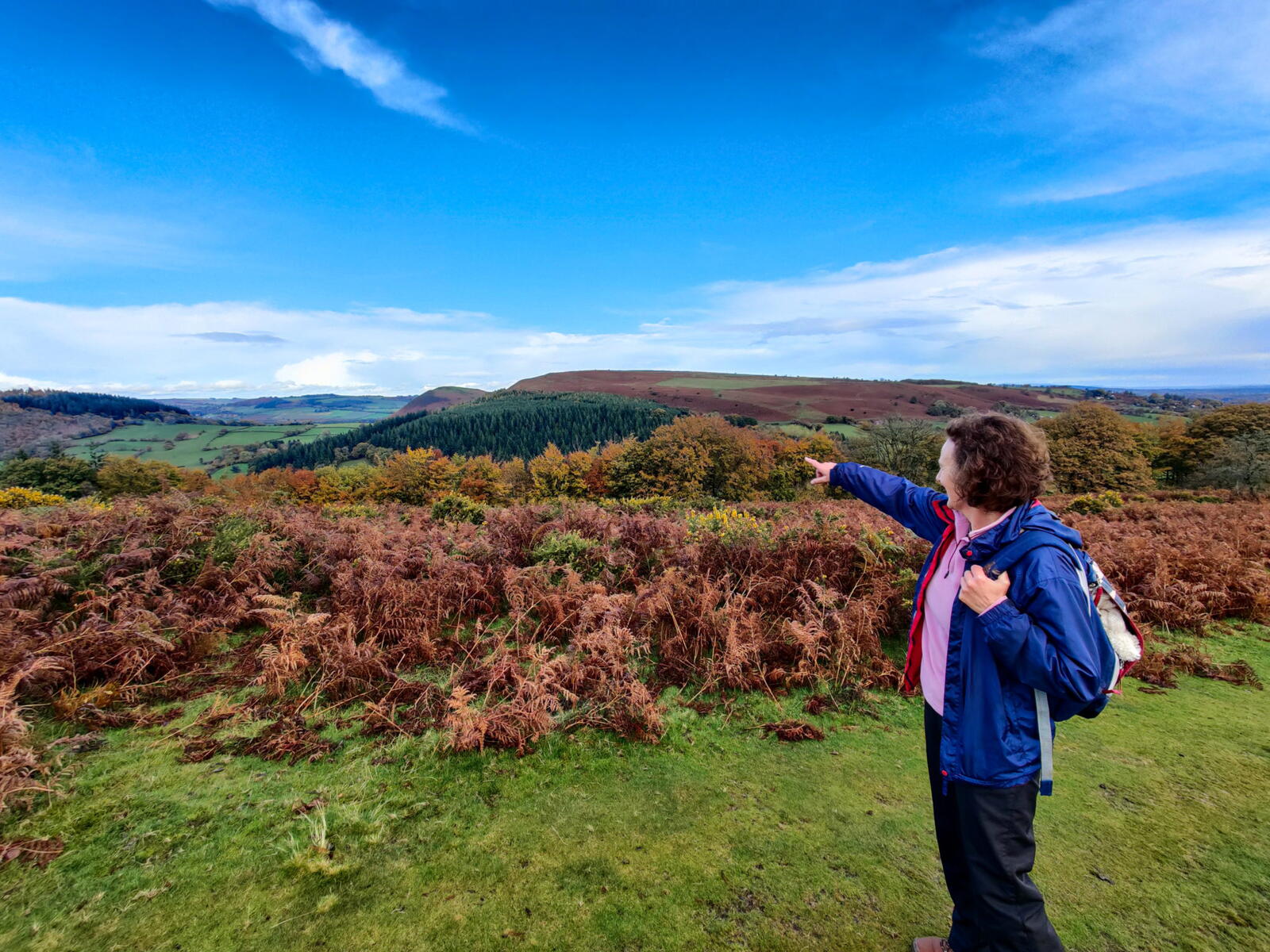 Endless Views from Hergest Ridge | Visit Herefordshire