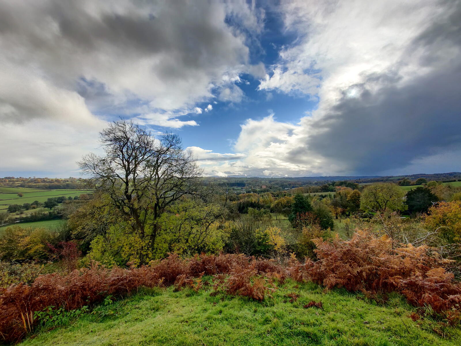 Endless Views from Hergest Ridge | Visit Herefordshire