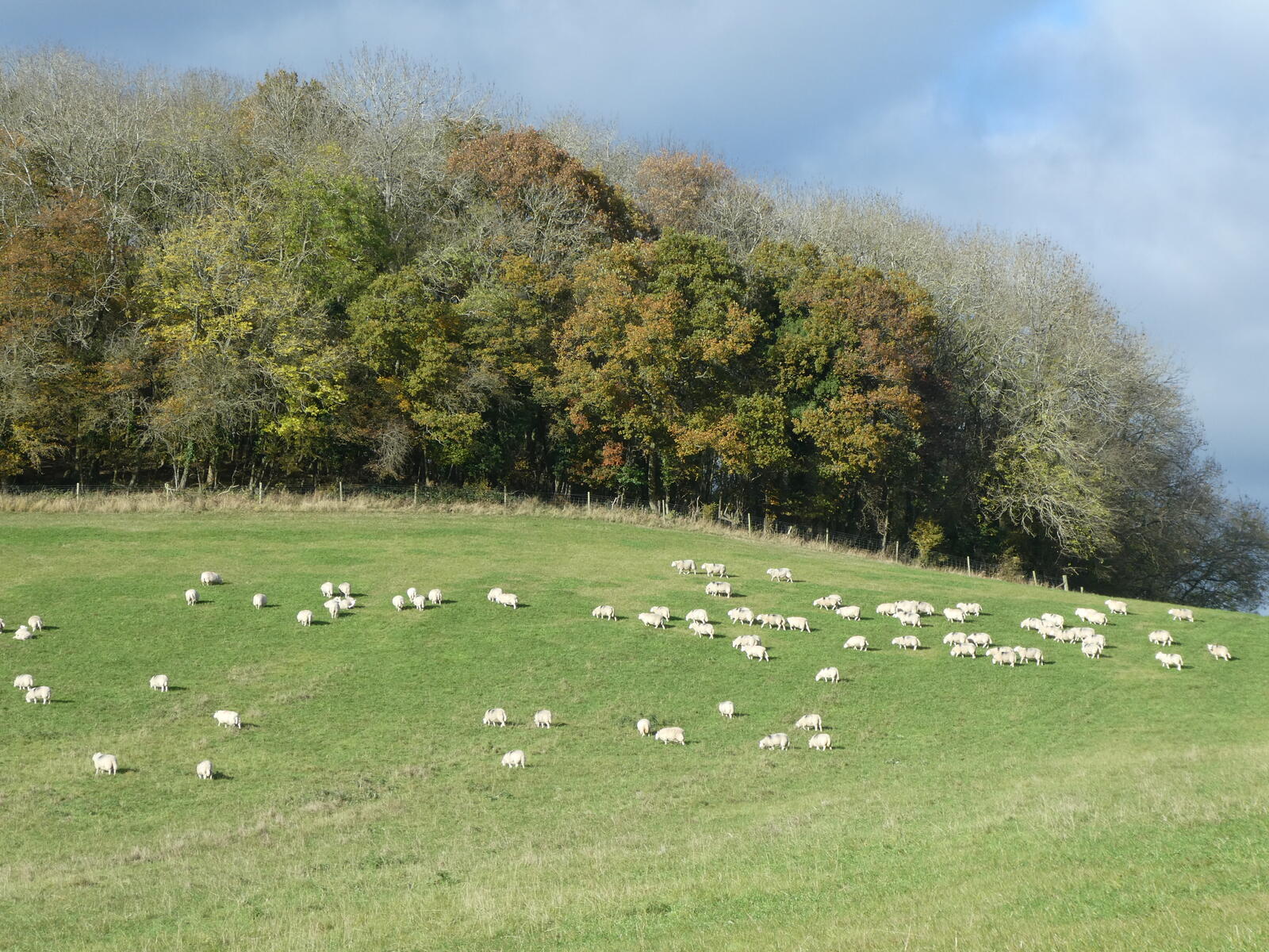 Marcle Ridge and Woolhope Dome | Visit Herefordshire