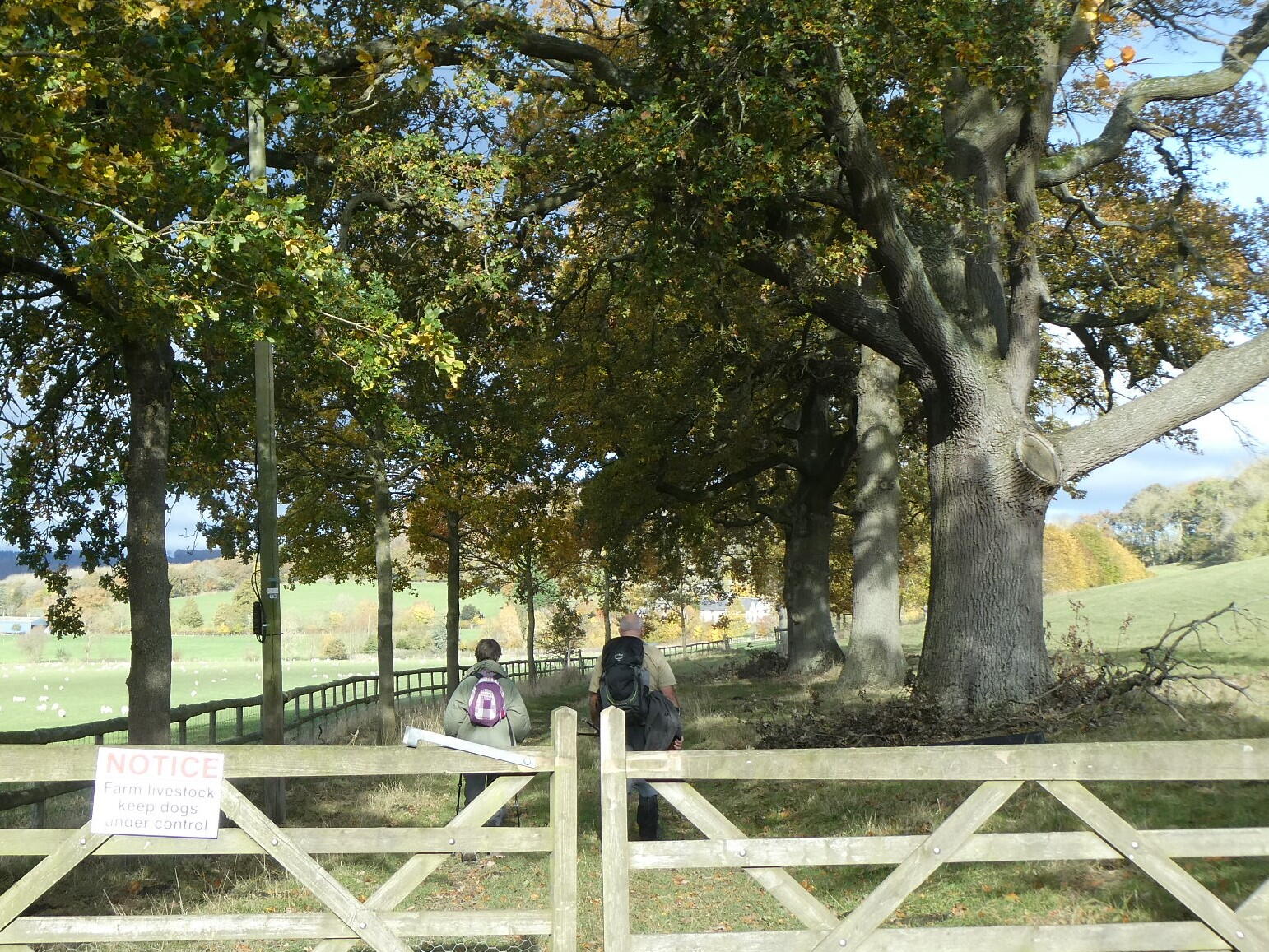 Marcle Ridge and Woolhope Dome | Visit Herefordshire