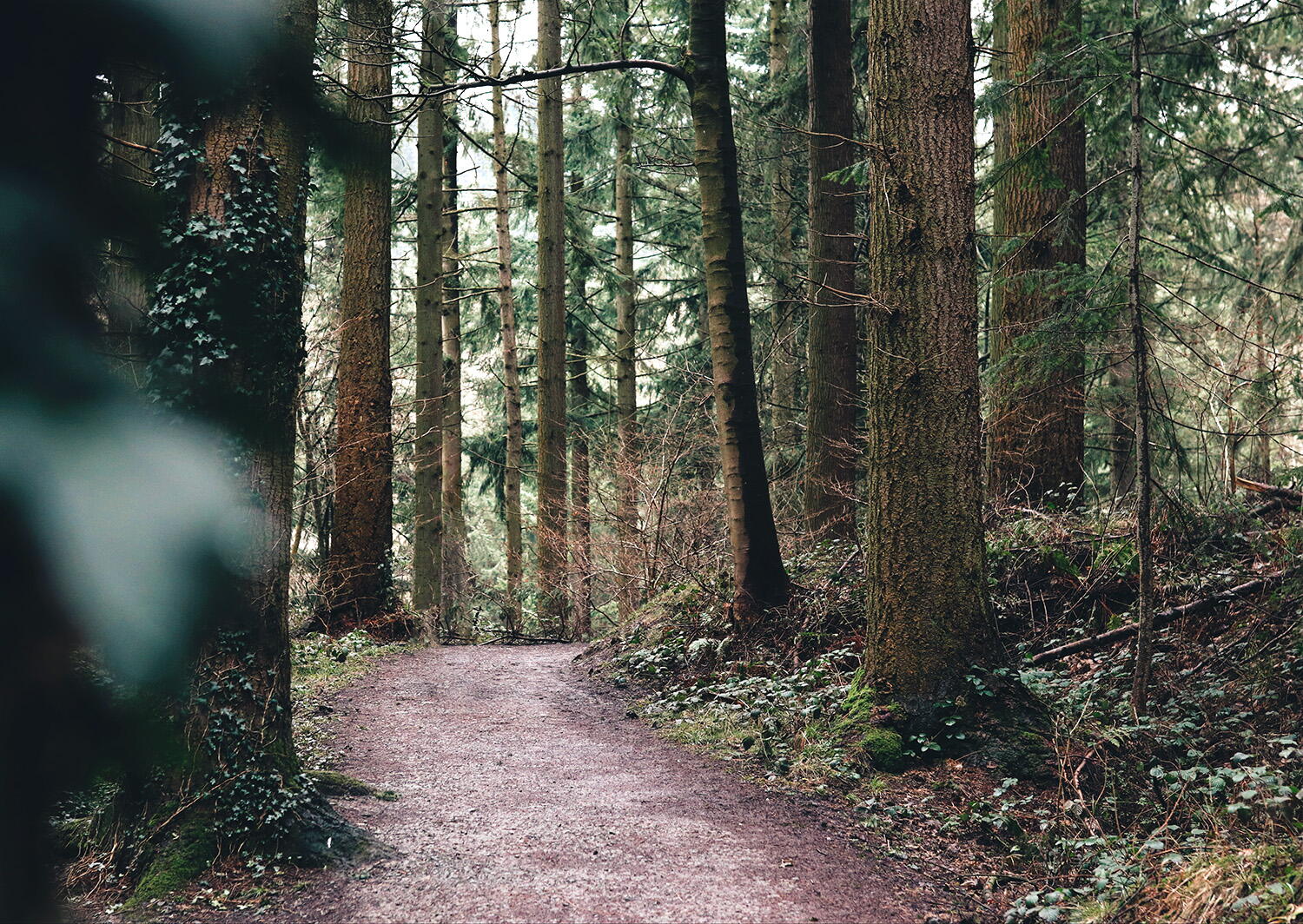 The Mortimer Trail | Visit Herefordshire