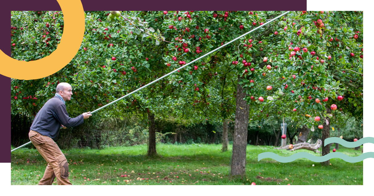 Cider Making with Nature in Much Marcle | Visit Herefordshire