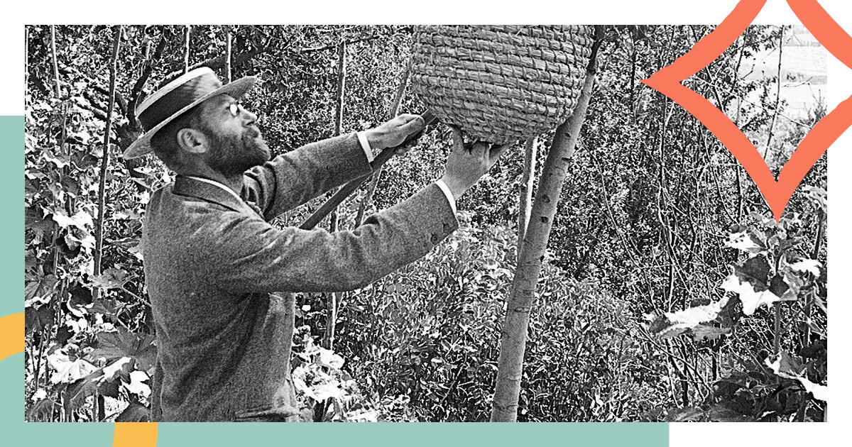 Introducing Alfred Watkins, a fascinating man | Visit Herefordshire