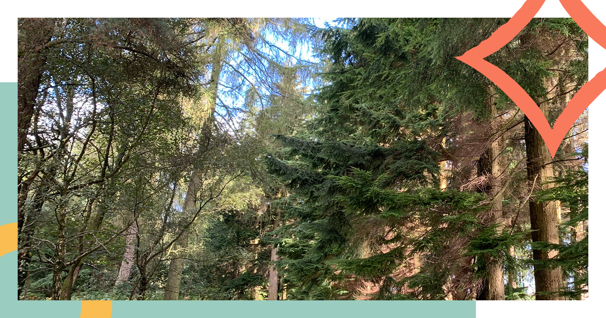 Magic in Mortimer Country | Visit Herefordshire