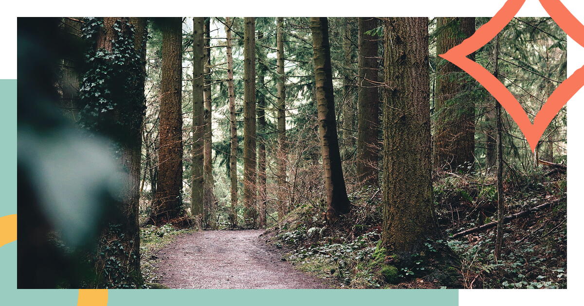 The Mortimer Trail | Visit Herefordshire