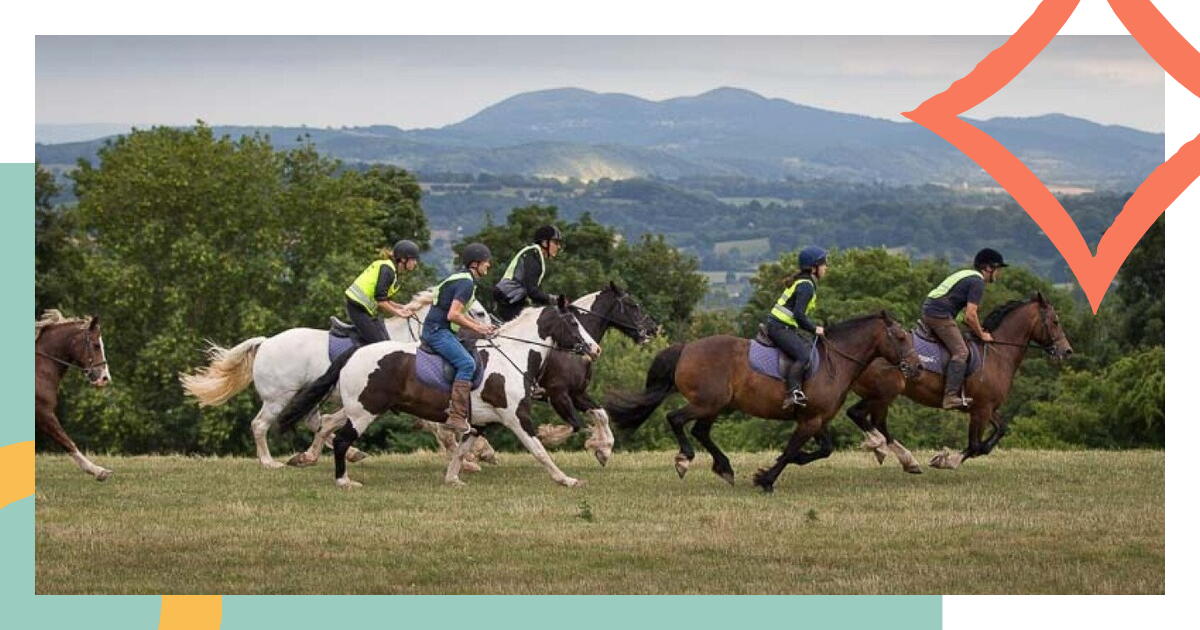 Tipton Hall Riding School | Visit Herefordshire