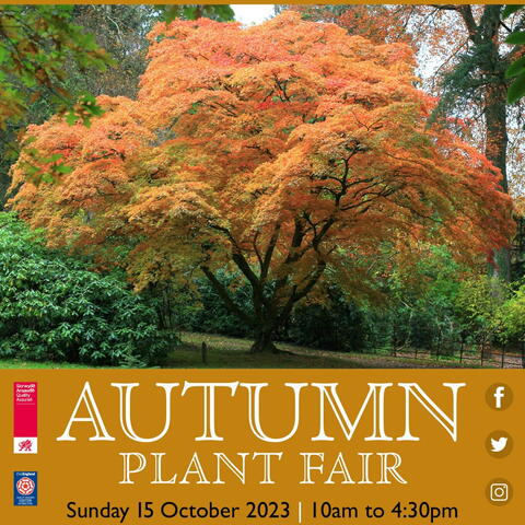 Autumn Plant Fair - Hergest Croft Gardens | Visit Herefordshire