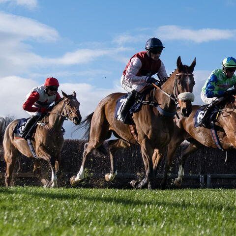 Winter Afternoon Racing - Hereford Racecourse | Visit Herefordshire